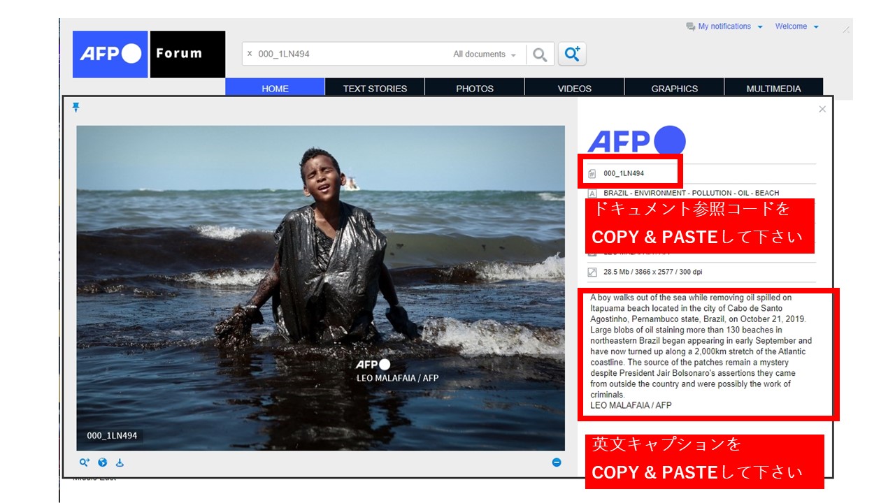 AFP Forum部門・作品応募申請